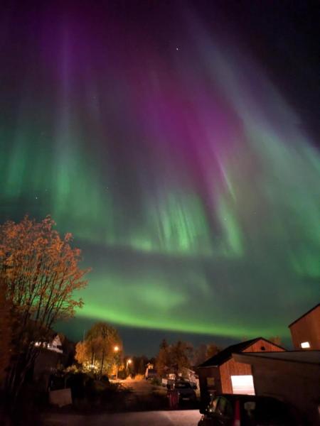 The Family House - トロムセー