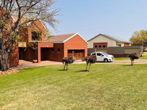 Euphoria Self Catering Home - Mookgopong