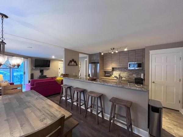Smuggler Mine - Pet-friendly Family Ski Condo! - Silverton, CO