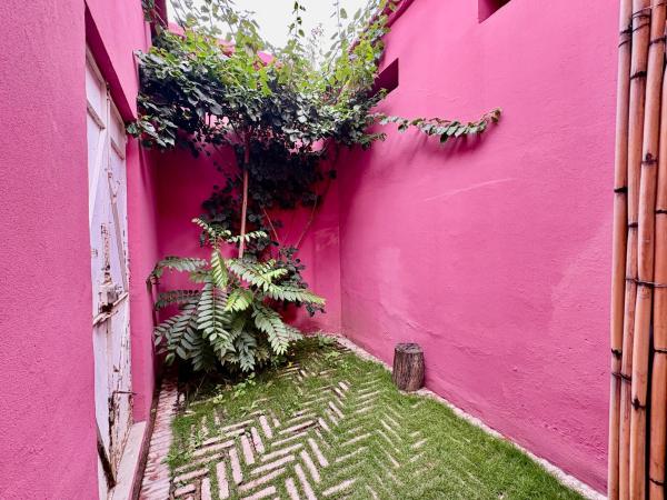 Ocho - Oaxaca