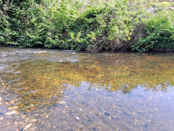 Chalé Harmonia Em Vivenda Vista Da Serra - Minas Gerais