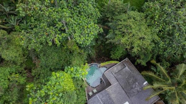 Jati Ubud - Ubud