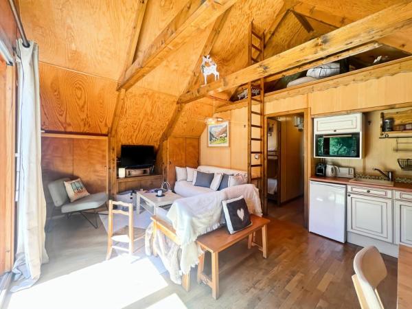 Chalet Perce Neige - Chalet Familial 6 Pers – Proche Télésiège Peynier Mae-6893 - Risoul