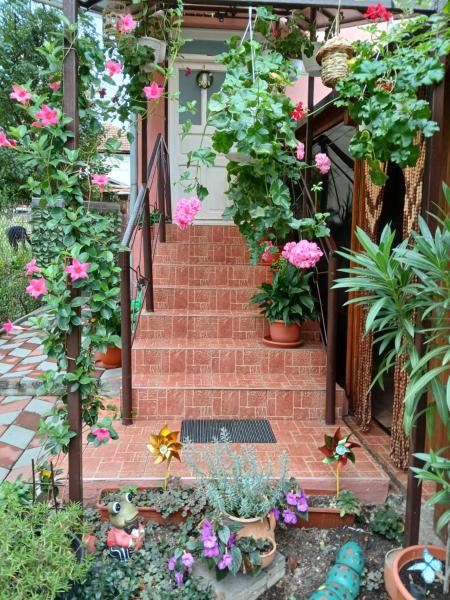 Casa Fabrizio - Transilvania