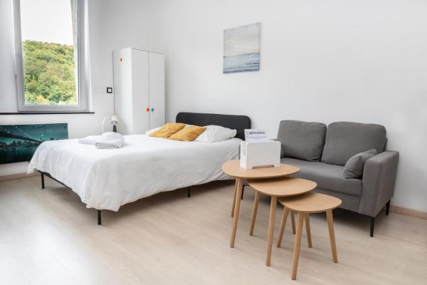 Studio Victor 101 - A Deux Pas Du Luxembourg - Moselle