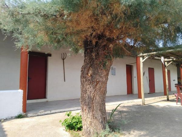 Appartement Avec Jardinet Dans Mas éQuestre - Lunel