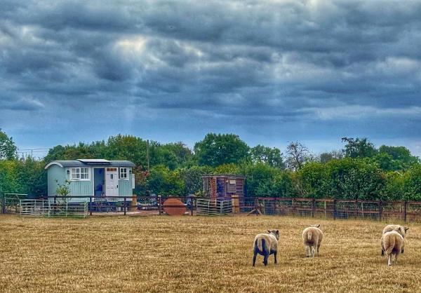 The Meadows Hut - Monmouth