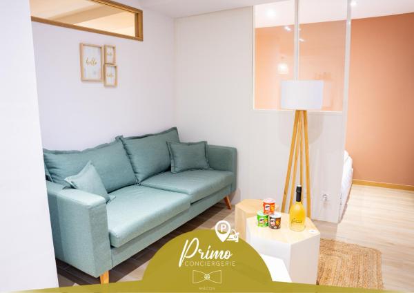 "L'appart Du Lac" éLégant, Moderne Et Neuf - By Primo C0nciergerie - Belleville, France