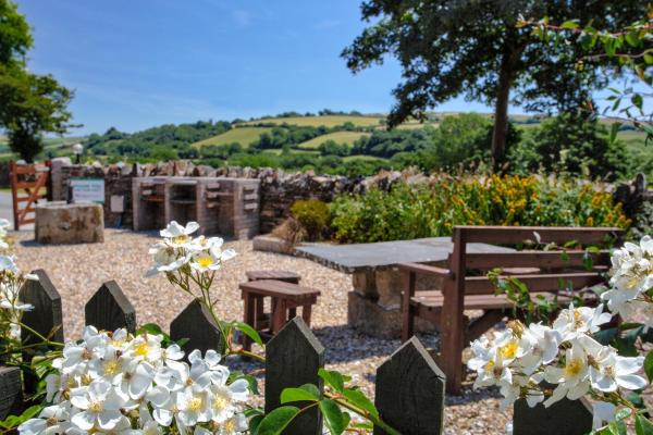 Tregolls Farm Cottages - Wadebridge