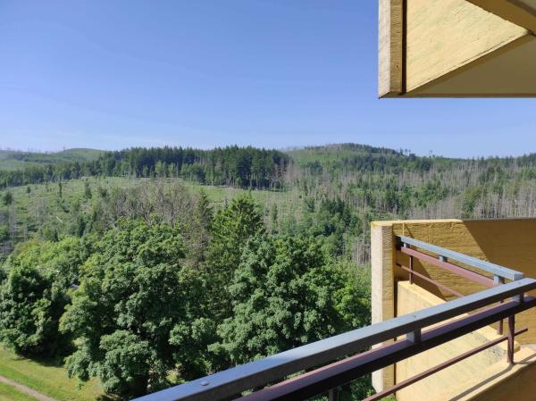 Ferienwohnung Abendsonne App 450 - Braunlage