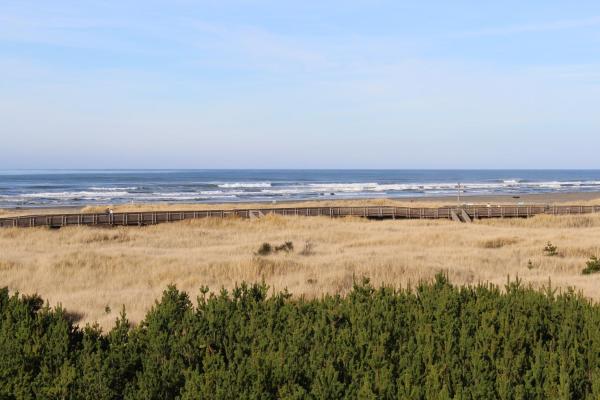 Boardwalk Adventures - Long Beach Boardwalk