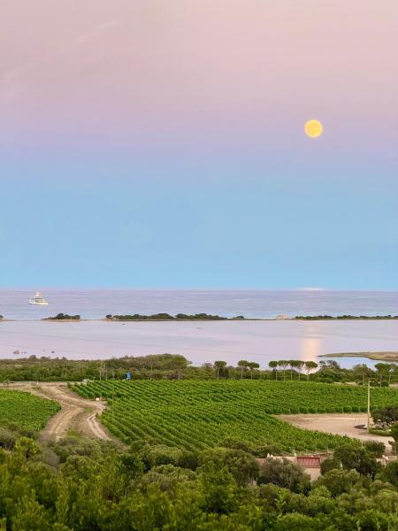 La Minditta - San Teodoro, Sicily