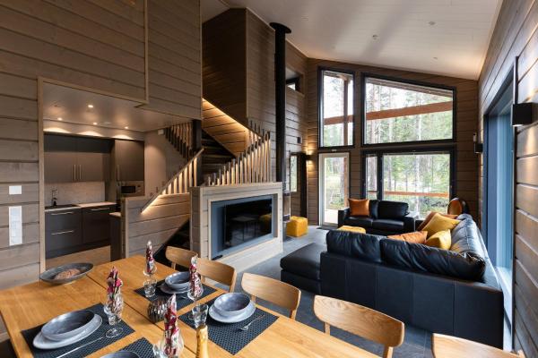 Kinos A Visit Levi - Sirkka