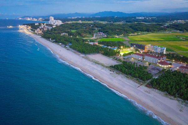 Algoboni Hotel - Gangneung-si