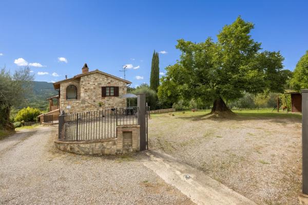 Oliveto Del Cantarello - Chiusi