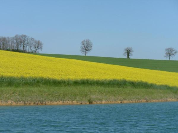 Gîte Gascon Le Bataillé - Auch