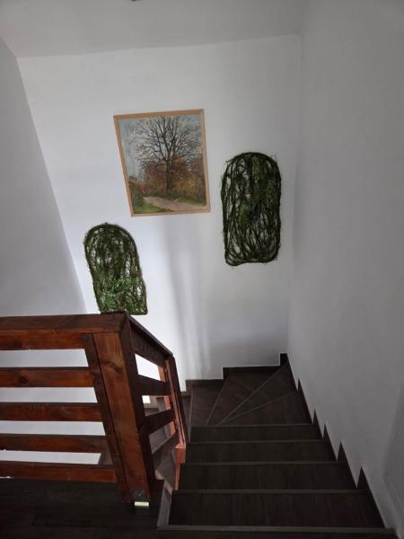 Pensiunea Gradia ȘUncuiuș - Roumanie