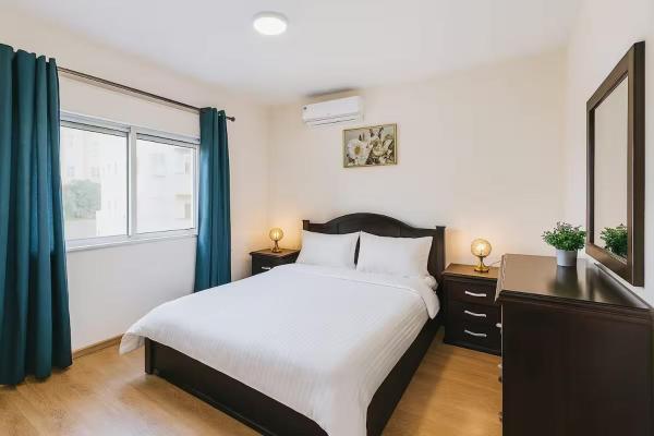 The Central Family Apartment - Amman