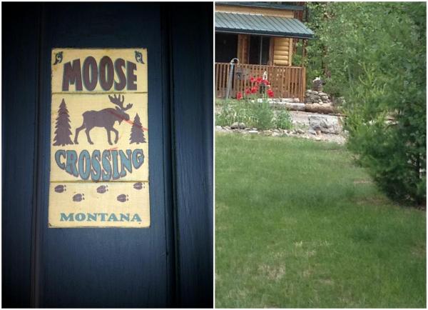 Cozy Log Cabin Rental In A Secluded Forest In Mineral County, Montana - Montana