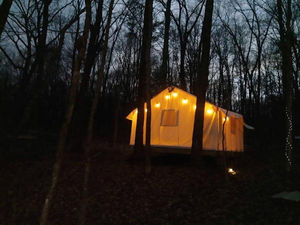 Cozy Treehouse Tent With Forest Trails Near Waterfalls In Cumberland Plateau, Tn - Tennessee