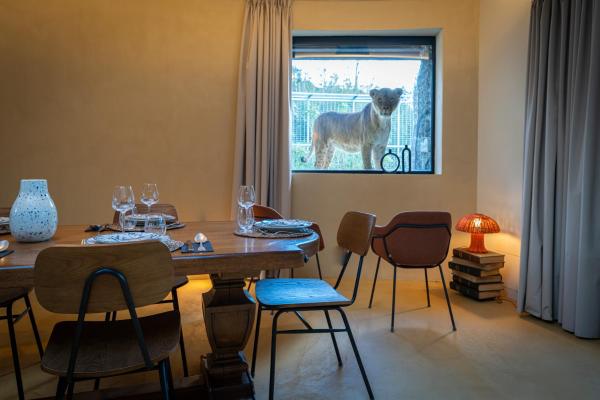 Night Experience - Pessac