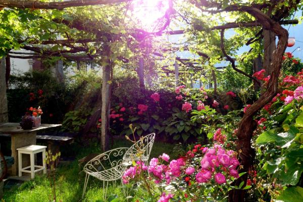 Bed & Breakfast Uvablu - Domodossola
