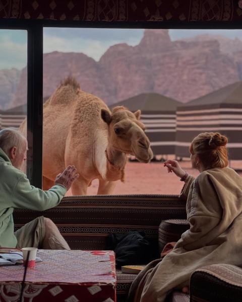 Camp In The Natural Reserve & Tours - ヨルダン