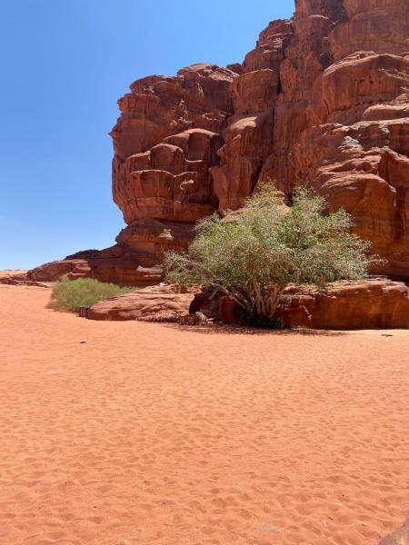 Sahara Camp Wadi Rum - Giordania