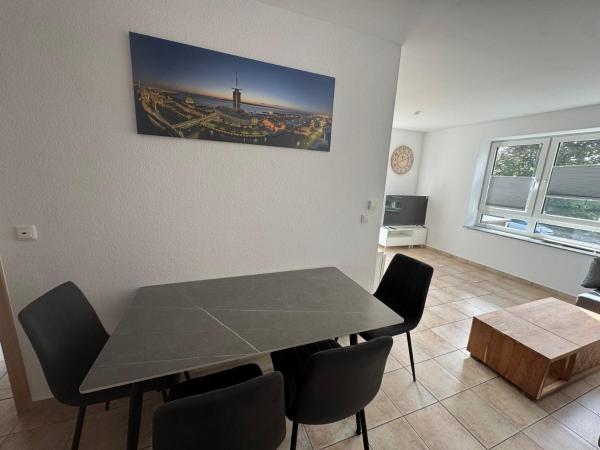 Seerobbe - Bremerhaven