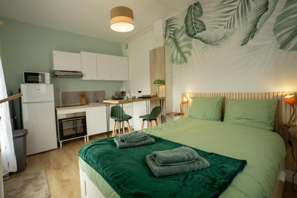 Jungle Studio - Déco Tropicale Et Confort Moderne - Paimbœuf