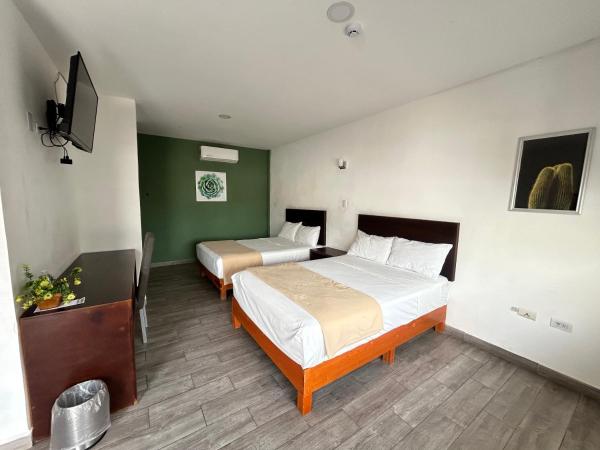 Noas Hotel - Torreón