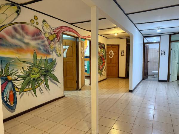 Bioluminiscencia Hostel Tours Santa Teresa - 코스타리카