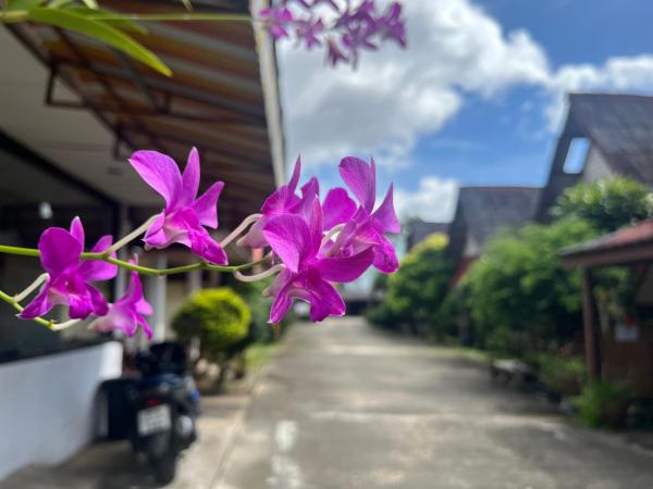 Go Gear Travel & Bungalow - Changwat Krabi