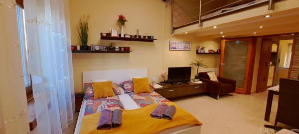 Szandi Belvárosi Apartman - Szeged