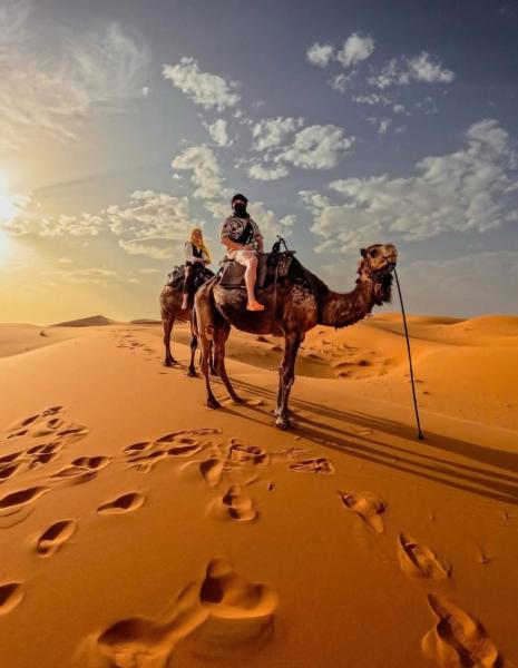 Sahara Bedouin Camp - Mhamid