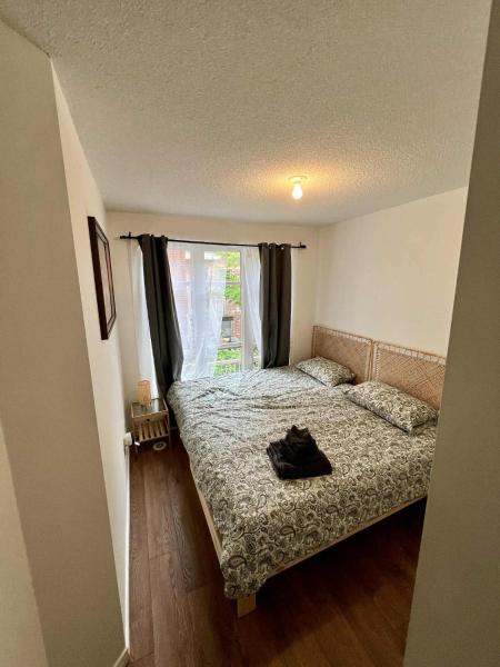Dt Townhome 1br Steps To Transit - Ontario