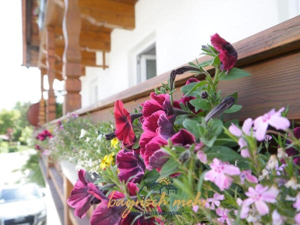 Your Holiday Apartment Bavarian More - Chiemsee
