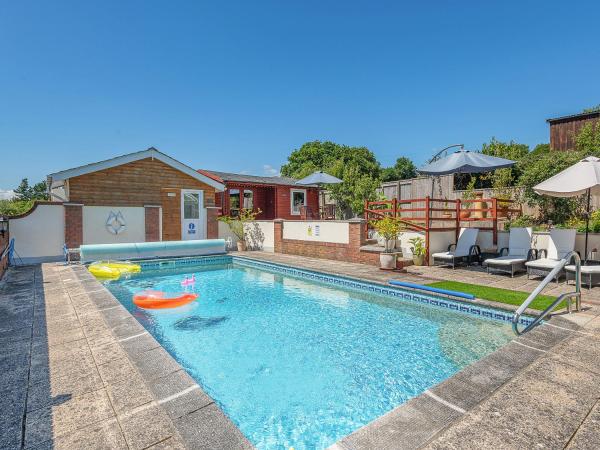 The Lantern Tree - Newton Abbot