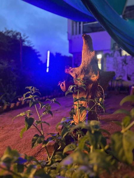 The Last Stop Backpackers Hostel - Puducherry