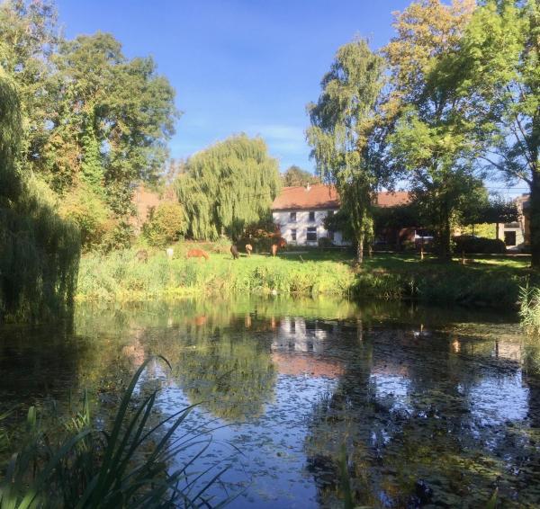 Aan De Jordaan - Belgique