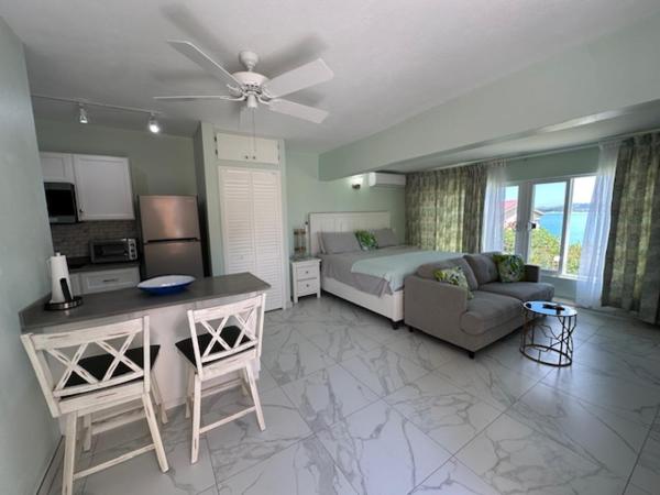 Beach Condo - Antigua and Barbuda