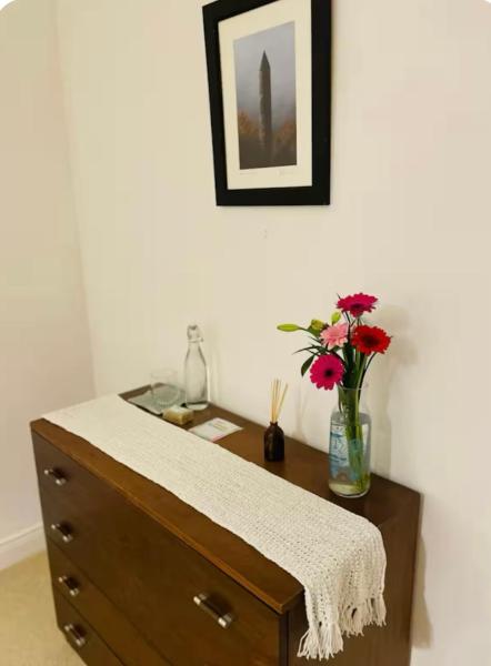 Quiet Room In Wexford With Local Charm - Wexford