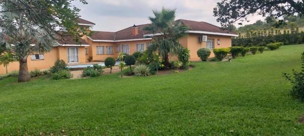 Orange Chutney - Swaziland/ Eswatini