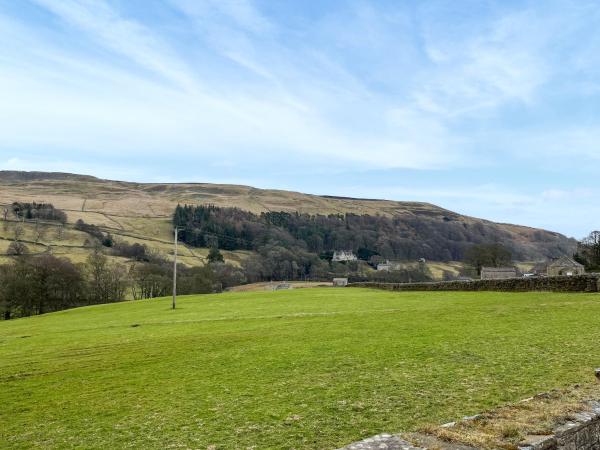 Swallowholm Cottage - Reeth