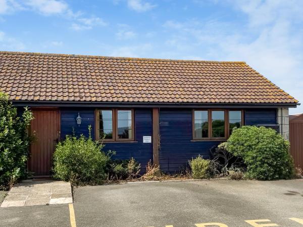 The Wrens - Uk50181 - Bridgwater