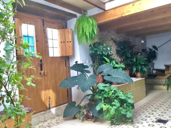 Apartamento En Casa Patio "Pan Y Conejo" - Córdoba