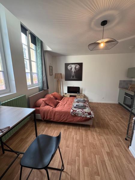 Studio Voyage - Proche Centre Ville - Mayenne