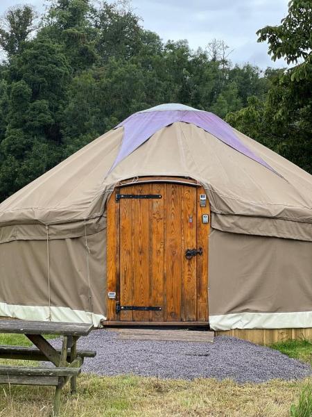 Chestnut - Yurt - Navan