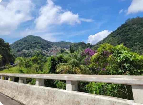 Casa Do Parque - Petrópolis