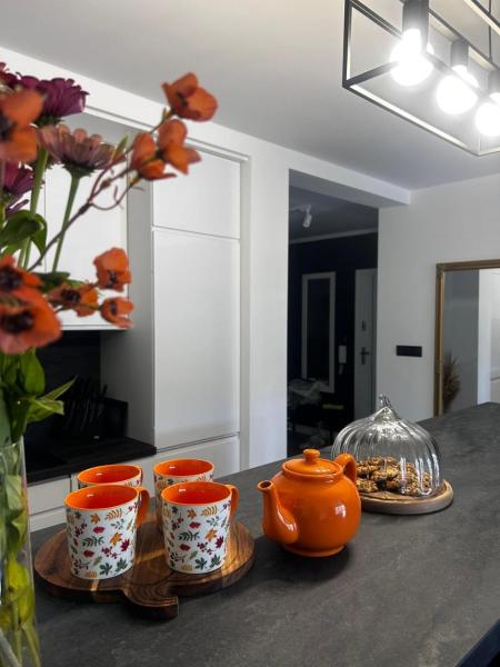 Apartament Ustrzyki Dolne "Dark-wolf" - Solina